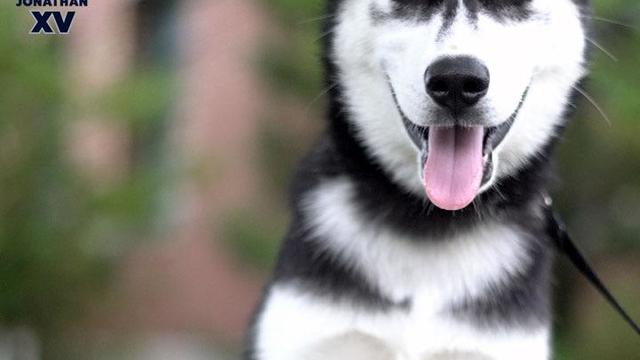 Watch Jonathan XV: Getting To Know UConn Nation - Stream General Online ...